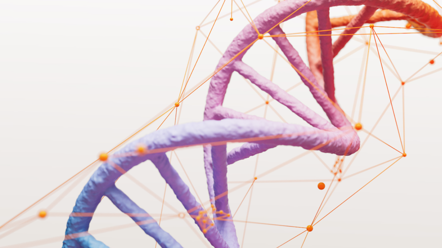 My Work - Abdullah’s Website